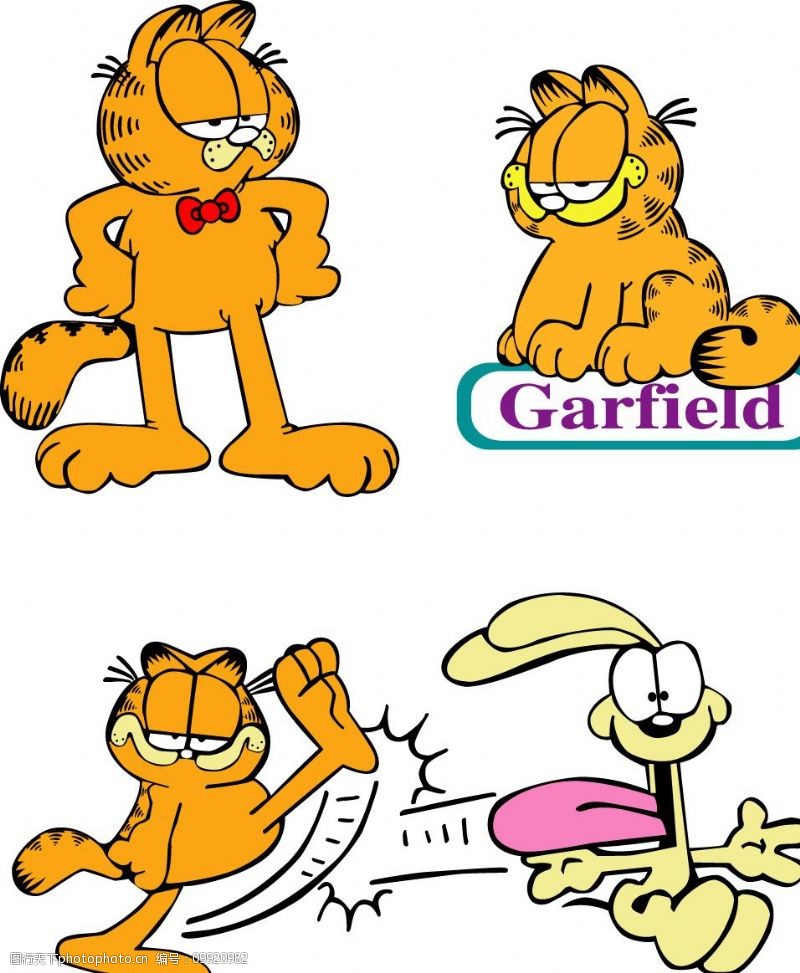 加菲猫01图片免费下载_加菲猫01素材_加菲猫01模板-图行天下素材网